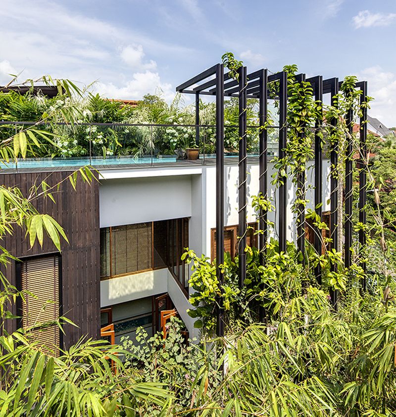Garden Villa with vertical gardens and 'dream like' quality - Home Crux