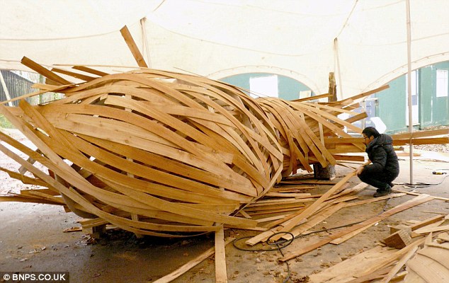 The Cocoon is an eco-friendly tree house suspended around three trees