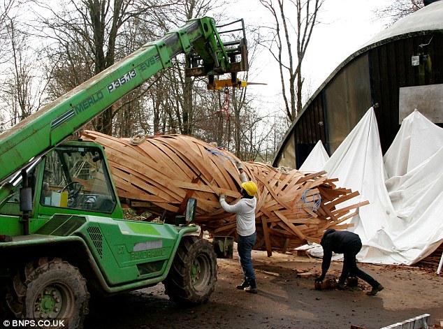 The Cocoon is an eco-friendly tree house suspended around three trees