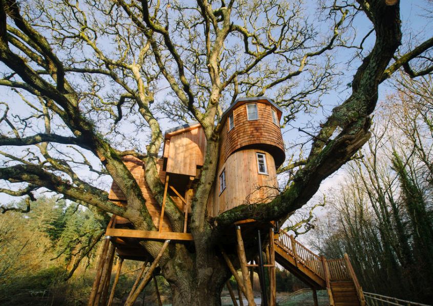 Update: Treetops Treehouse is Built Within Branches of a 250-Year-Old ...