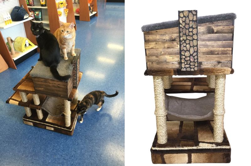 Tennessee man builds absolutely ‘purr-fect’ cat houses for felines