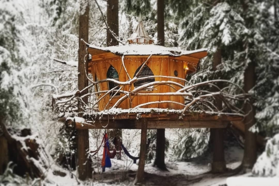Mountain Views B&B Retreat in Monroe Offers Pot-Friendly Treehouses
