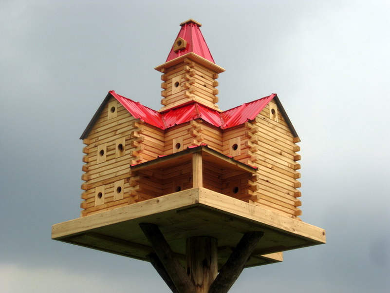 These luxury birdhouses feature fly-through tunnels and swimming pools
